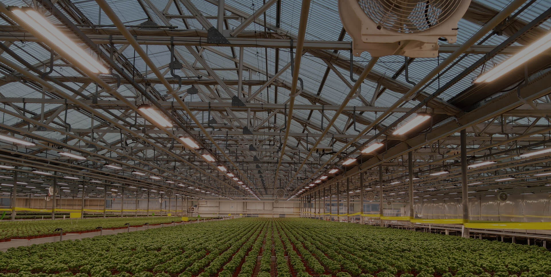 RapidGrow LED - Where technology and cultivation meet